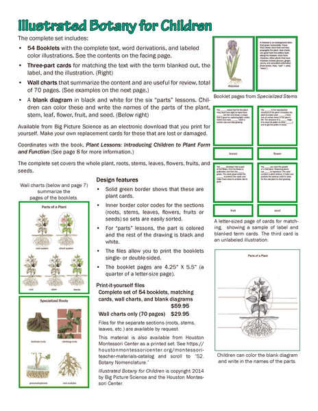 Illustrated Botany for Children - Complete set – Big Picture Science