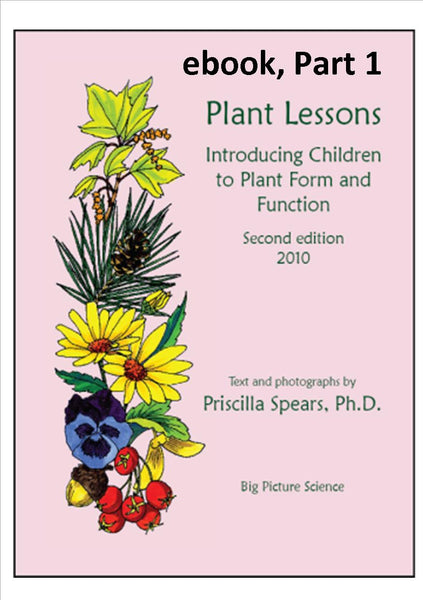 Plant Lessons: Introducing Children to Plant Form and Function, part 1 ...